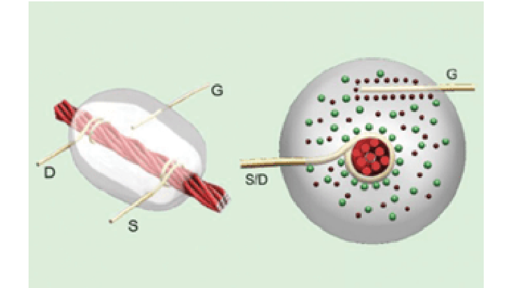 Flexible devices from thread - Today's Medical Developments