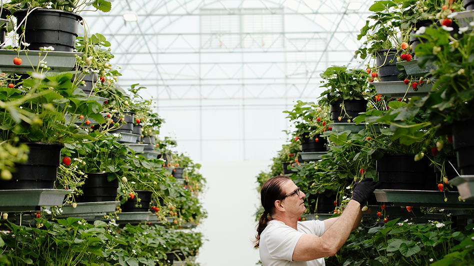 In the neighborhood - Produce Grower